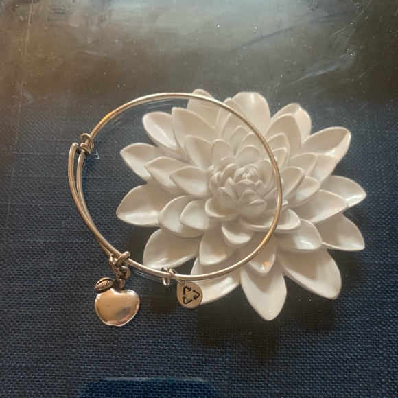 Alex and Ani | Jewelry | Alex Ani Apple Bracelet | Poshmark